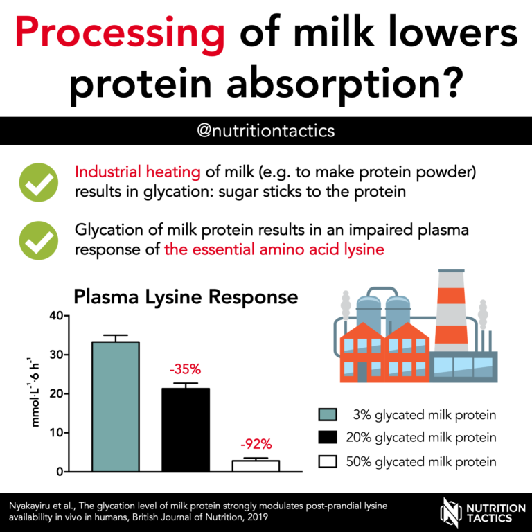 Processing of milk lowers protein absorption?
